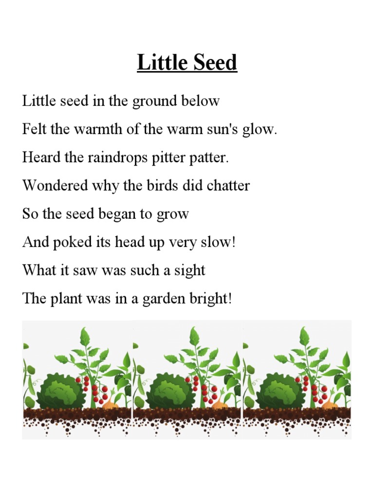 Little Seed Kindergarten Poem | PDF