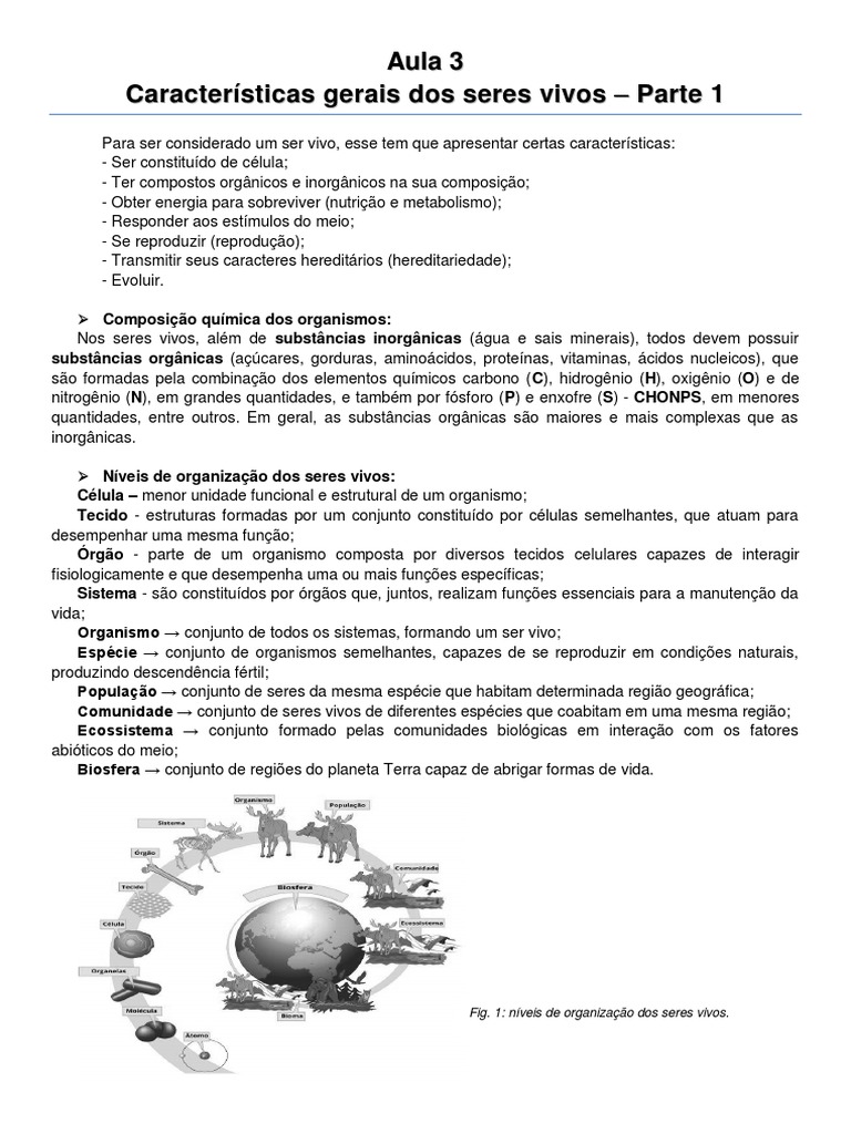 Aula 3 - Bio - Características Gerais Dos Seres Vivos | PDF ...