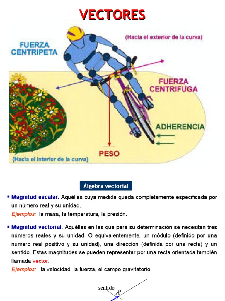 Magnitudes y Tipos de Vectores | PDF | Vector Euclidiano | Conceptos ...