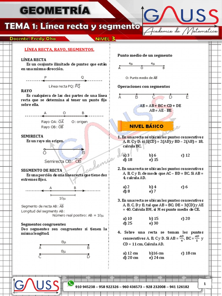 Geometría Básica: Líneas y Segmentos | PDF | Geometría | Matemáticas