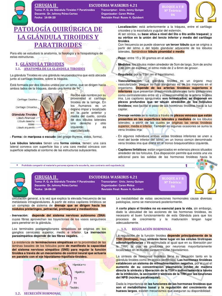Parcial 2 Ciru II | PDF | Tiroides | Hipotiroidismo