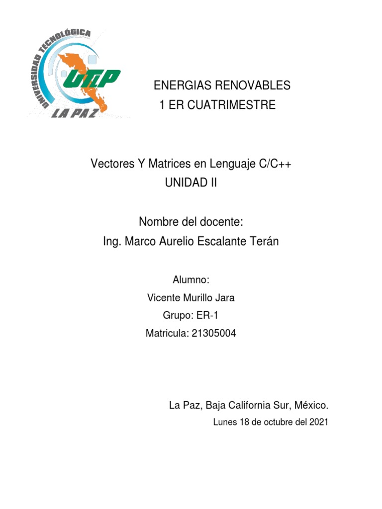 Dev C++ Vectores | PDF | Estructura de datos de matriz | Informática