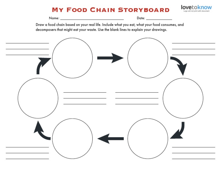 My Food Chain Storyboard Template | PDF