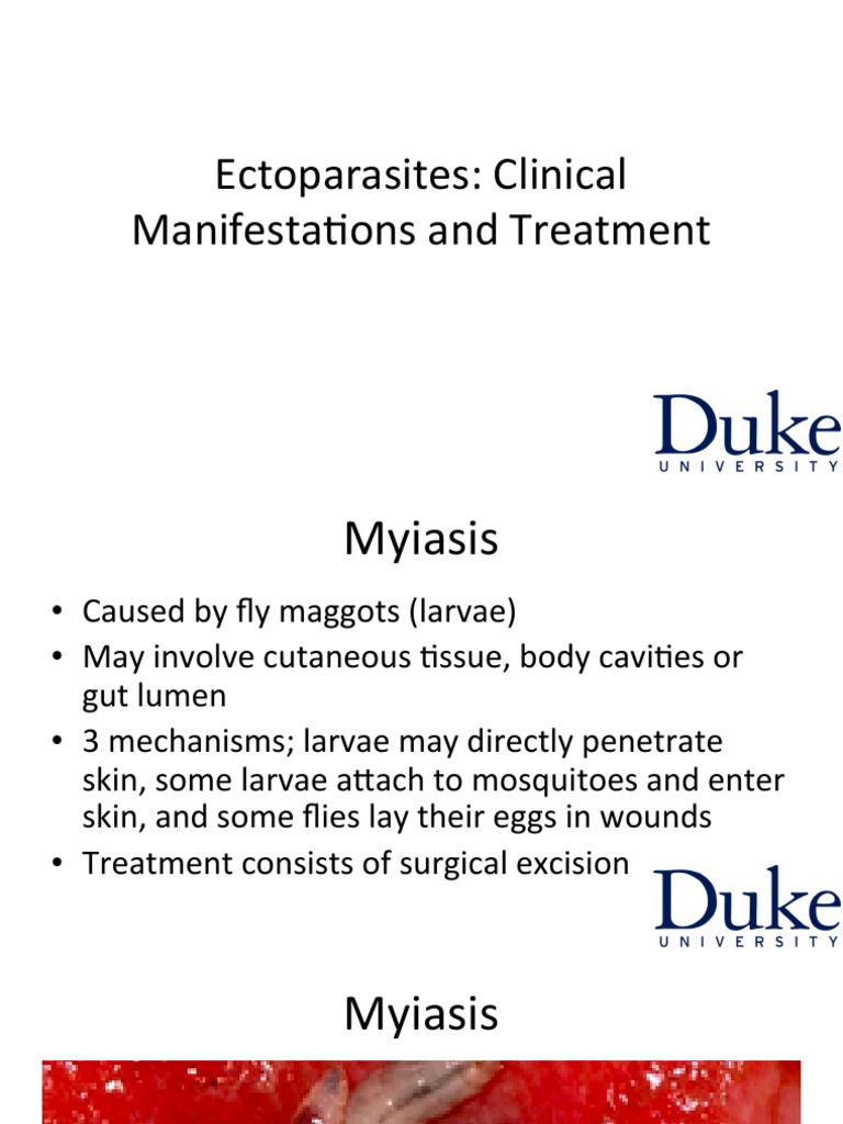 Ectoparasites: Clinical Manifesta2ons and Treatment | PDF | Medical ...