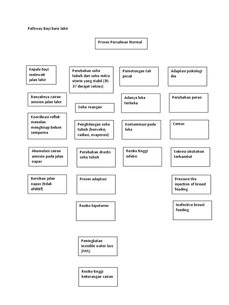 Pathway Bayi Baru Lahir | PDF