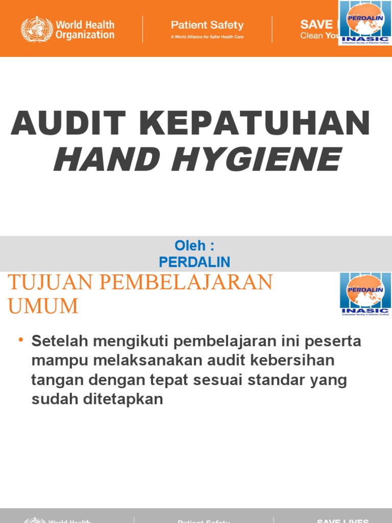 Audit Hand Hygiene | PDF