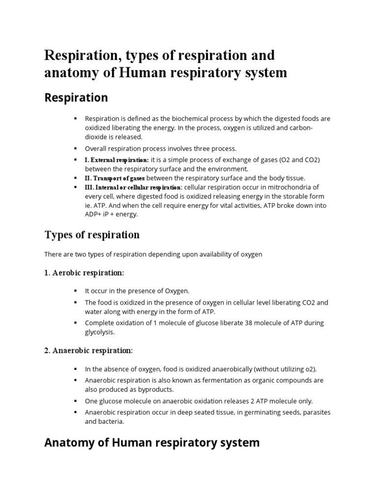 Respiration, Types of Respiration and Anatomy of Human Respiratory ...