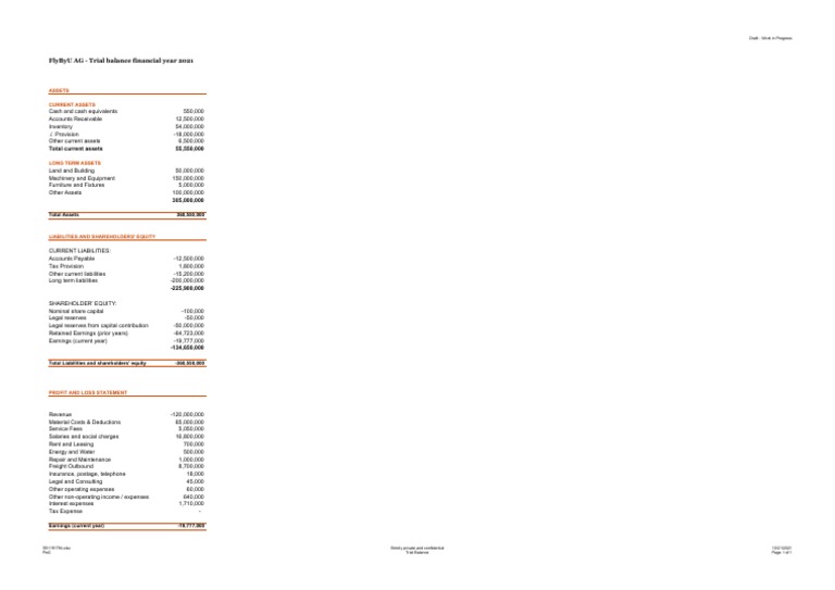 FlyByU AG Balance Sheet and Profit and Loss Statement | PDF | Expense ...