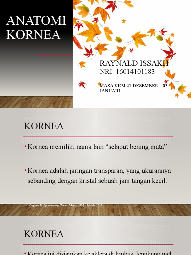 Anatomi Kornea & Lensa | PDF | Griya & Taman | Kesehatan Holistik