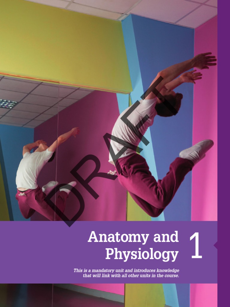 Anatomy and Physiology 1 | PDF | Vertebral Column | Vertebra