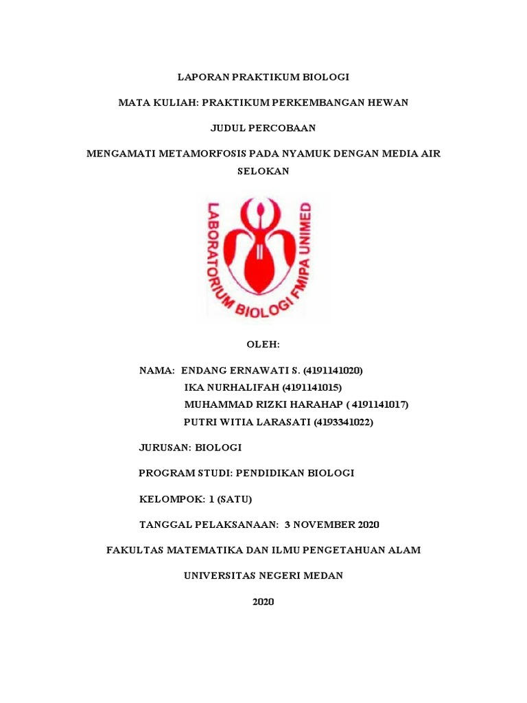 Laporan MR Perkembangan Hewan | PDF | Kesehatan Holistik