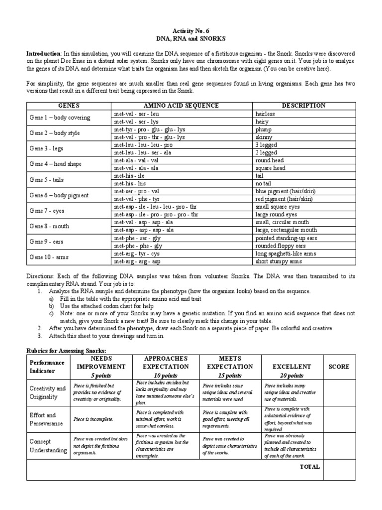 Activity Sheet - Lesson 9 Protein Synthesis 1.3 DNA RNA and Snorks ...