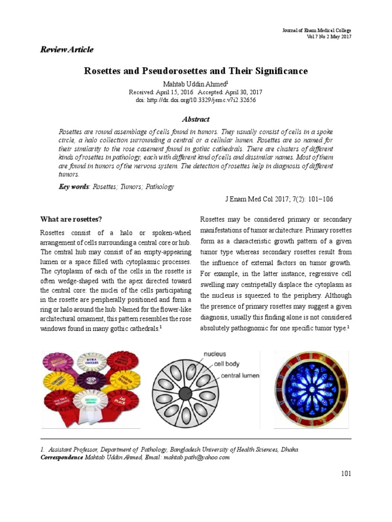 Rosettes and Pseudorosettes and Their Significance | PDF | Biology | Cancer