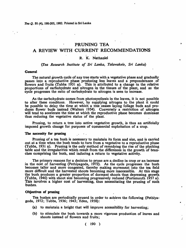 Tea Pruning Current Methods | PDF | Pruning | Plants