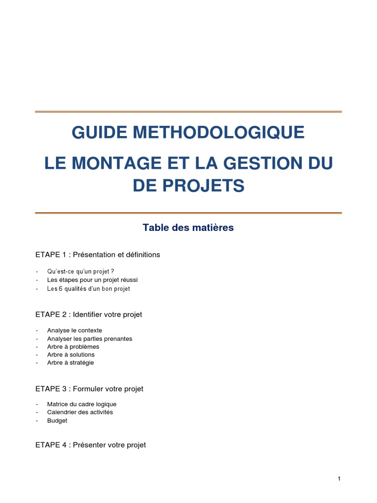 Guide Methodologique | PDF | Budget | Partie prenante