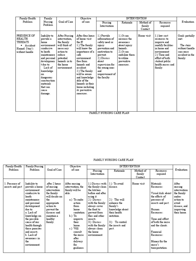 FAMILY NURSING CARE PLAN Family Health Problem Family Nursing Problem | PDF | Nursing | Hazards