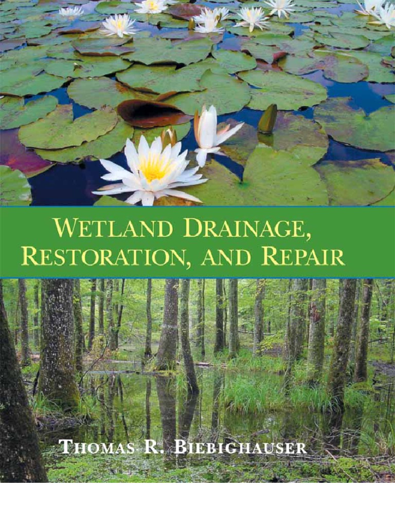 Wetland Drainage, Restoration, and Repair | PDF | Natural Resources Conservation Service | Drainage