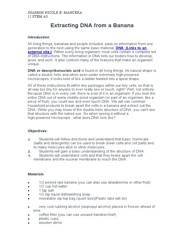 DNA Extraction from a Banana Experiment | PDF | Dna | Cell (Biology)