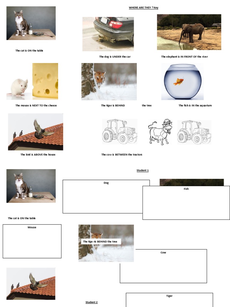 Where Are They ? Key | PDF