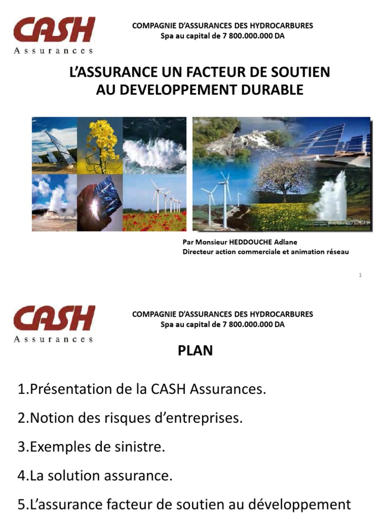 Assurance des Hydrocarbures en Algérie | PDF | Assurance | Risque
