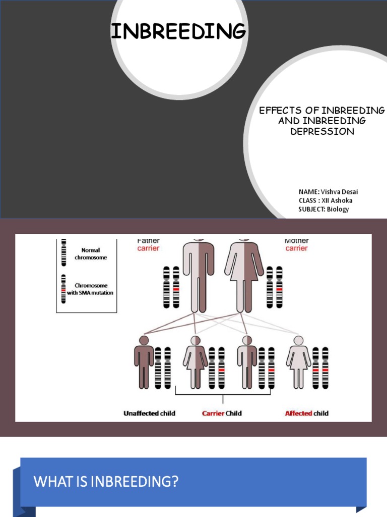 Incest - Vishva Desai | PDF | Inbreeding | Dominance (Genetics)