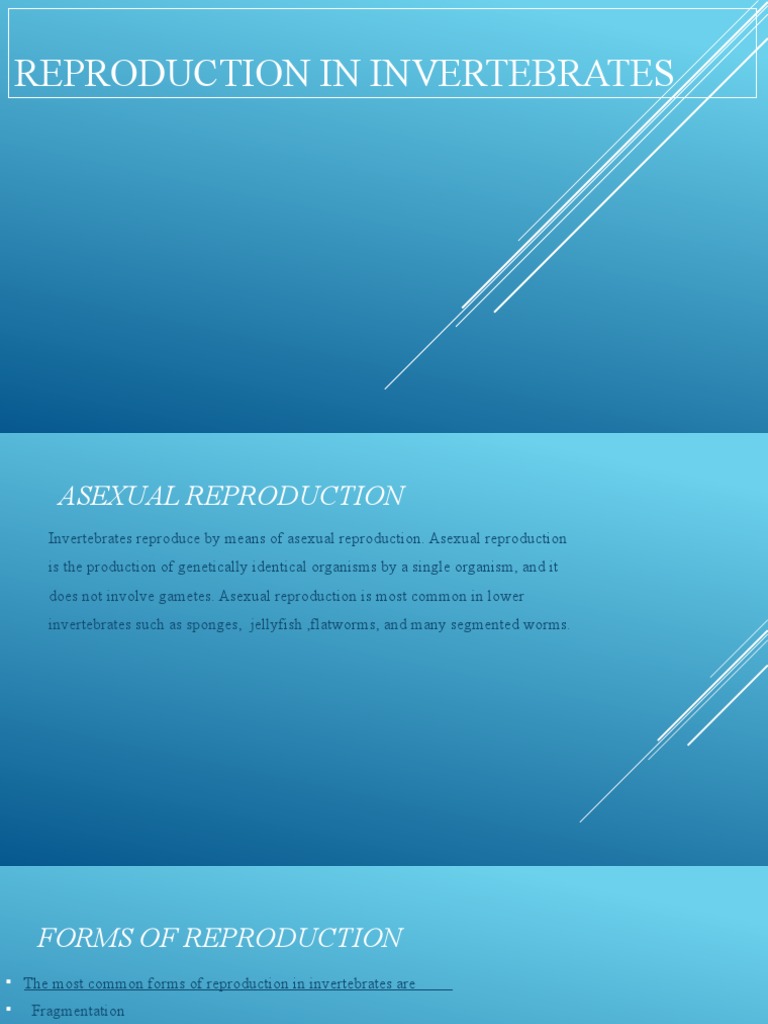 Asexual Reproduction in Invertebrates | PDF | Reproduction | Invertebrate
