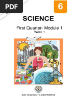Science 6 Lesson Plan and Activity Sheet | PDF | Mixture | Solution