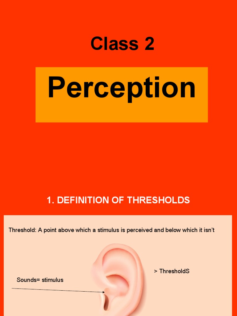 Class 2 | PDF | Perception | Senses
