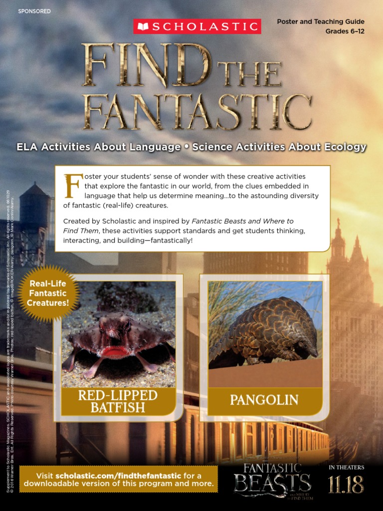 Fantastic Beasts Teaching Guide | PDF | Habitat | Predation