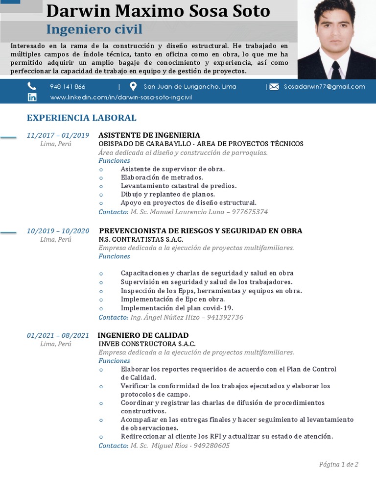 Curriculum V. DARWIN SOSA SOTO | PDF | Ingeniería | Perú