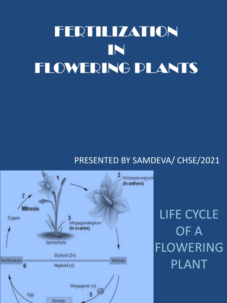 3.3 Fertilization in Plants and Animals | PDF | Fertilisation | Cell ...