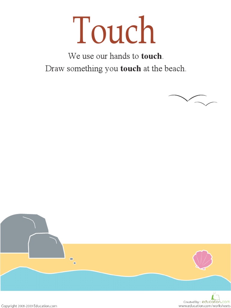 Touch: We Use Our Hands To Touch. Draw Something You Touch at The Beach ...