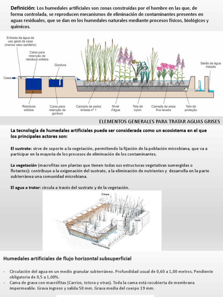 Humedales 2021 | PDF | Agua | Humedal