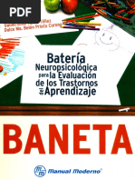 Baneta Manual | PDF
