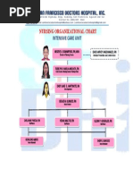 Organizational Chart Final Icu | PDF | Health Care | Health Sciences