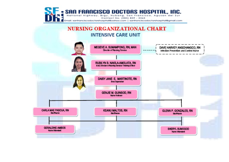 Organizational Chart Final Icu | PDF | Health Care | Health Sciences