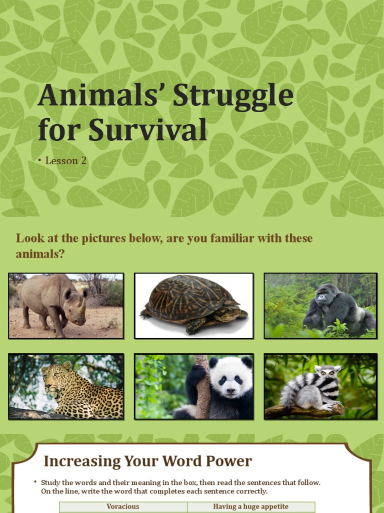 2.animals' Struggle For Survival | PDF | Lizard | Predation