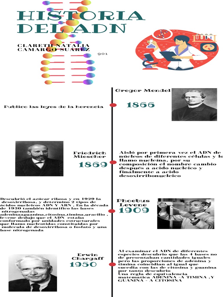 Historia Del Adn | PDF | Adn | Ácidos nucleicos