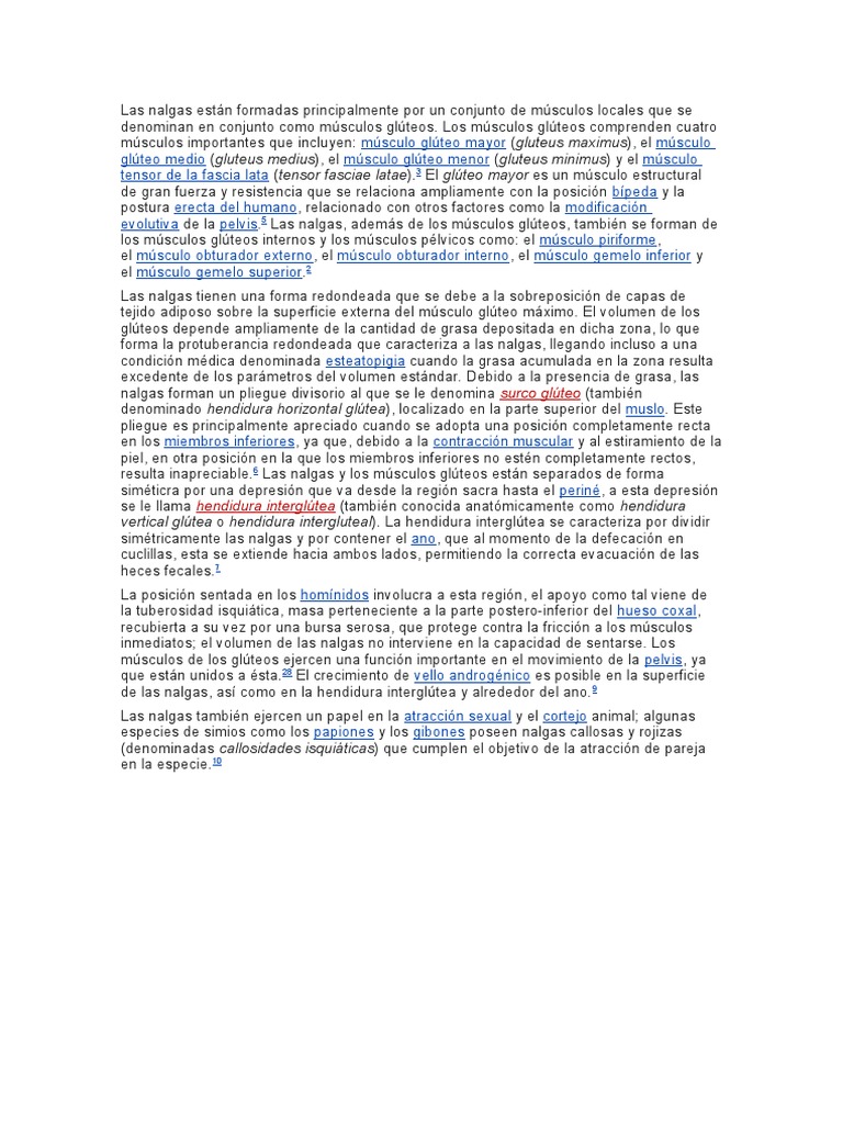 Surco Glúteo: Vertical Glútea o Hendidura Intergluteal) - La Hendidura ...