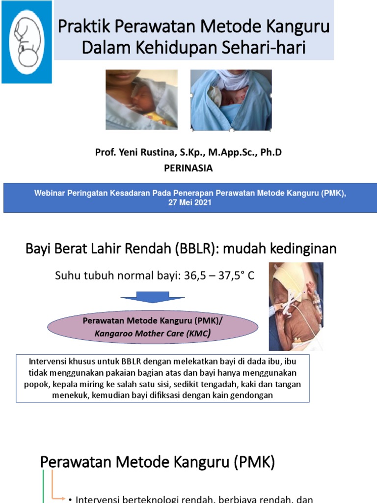 Prof Yeni - Praktik PMK Dalam Kehidupan Sehari-Hari - Kemkes | PDF