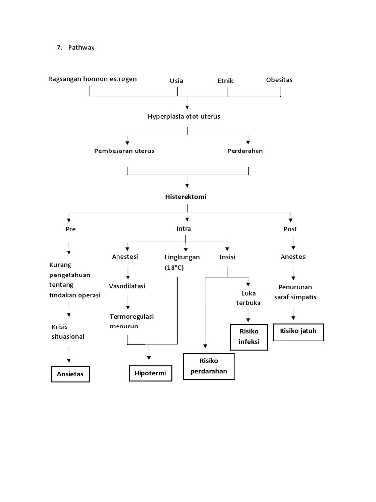 Pathway Histerektomi | PDF