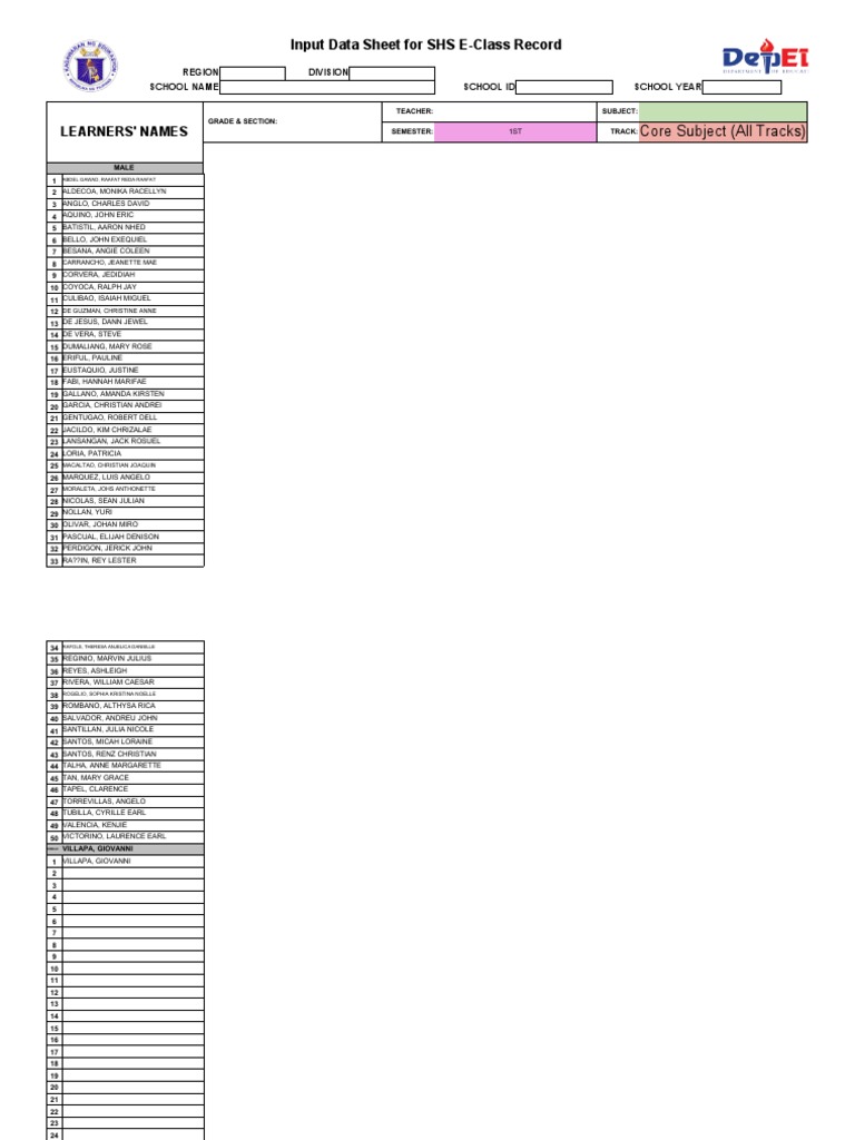 Input Data Sheet For SHS E-Class Record: Learners' Names | PDF