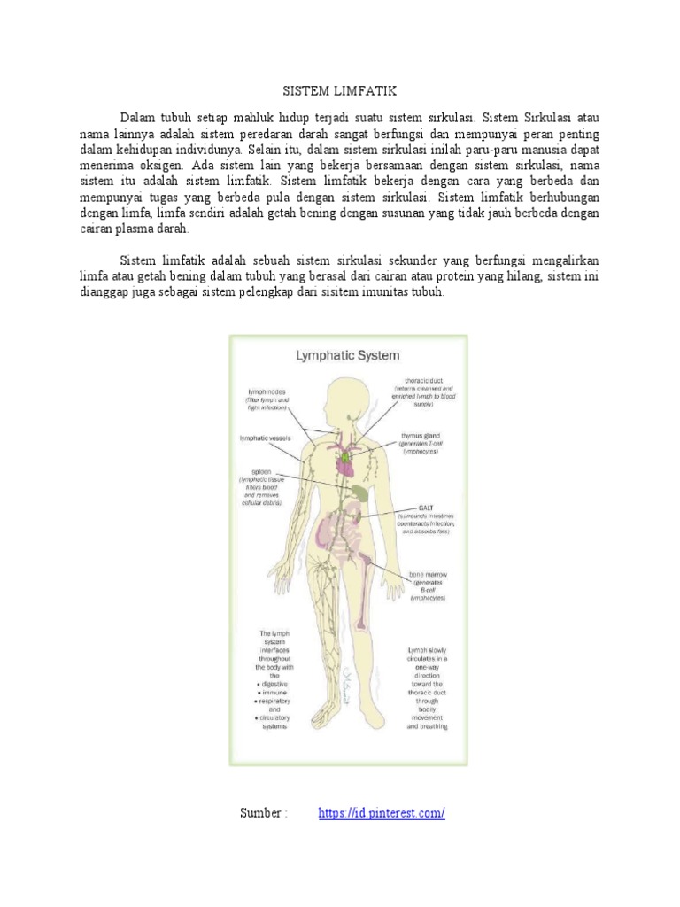 Sistem Limfatik | PDF | Kesehatan Holistik