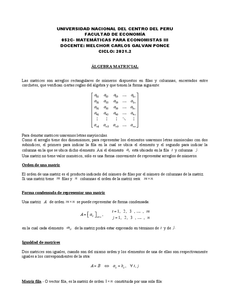 2.3. Matrices | PDF | Matriz (Matemáticas) | Física teórica