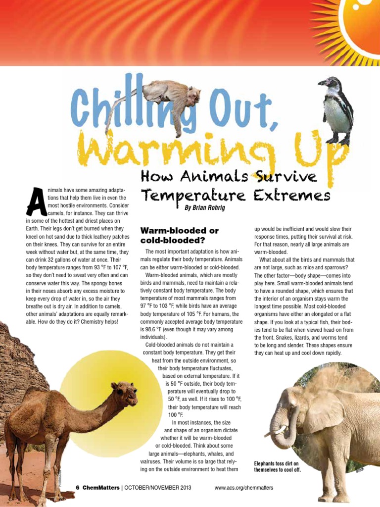 Bio Article Chemmatters-Oct2013-Chilling-Out | PDF | Thermoregulation ...