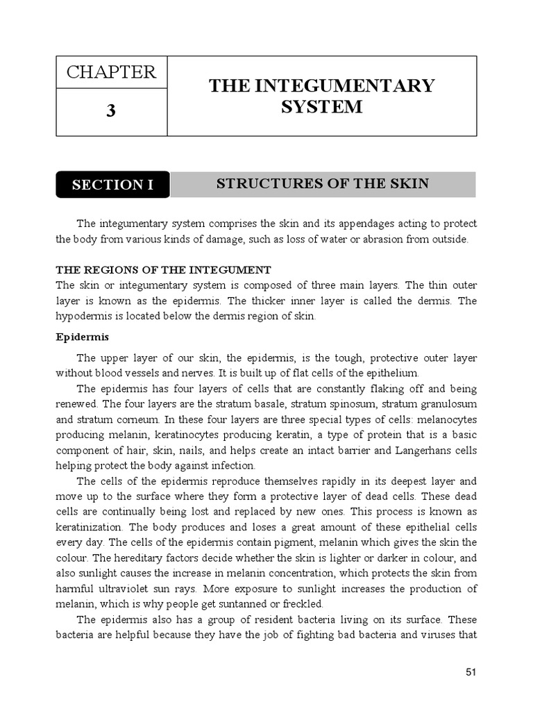 3 The Integumentary System: Section I | PDF | Integumentary System | Skin