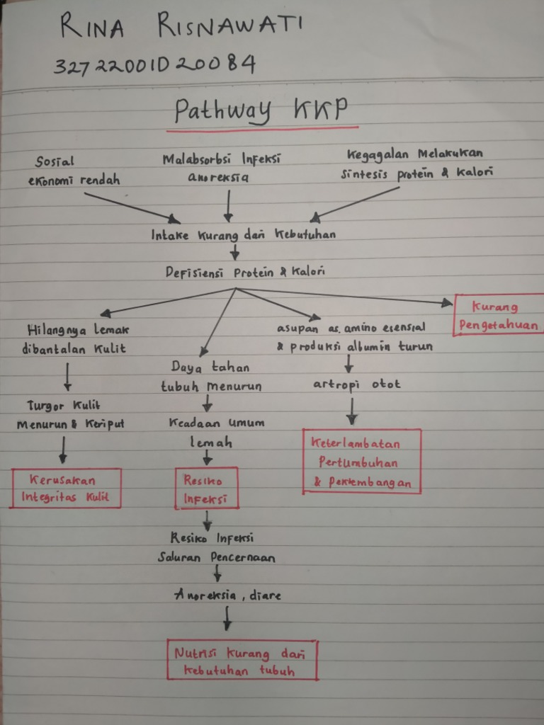 Tugas Pathway Anak Rina Risnawati | PDF