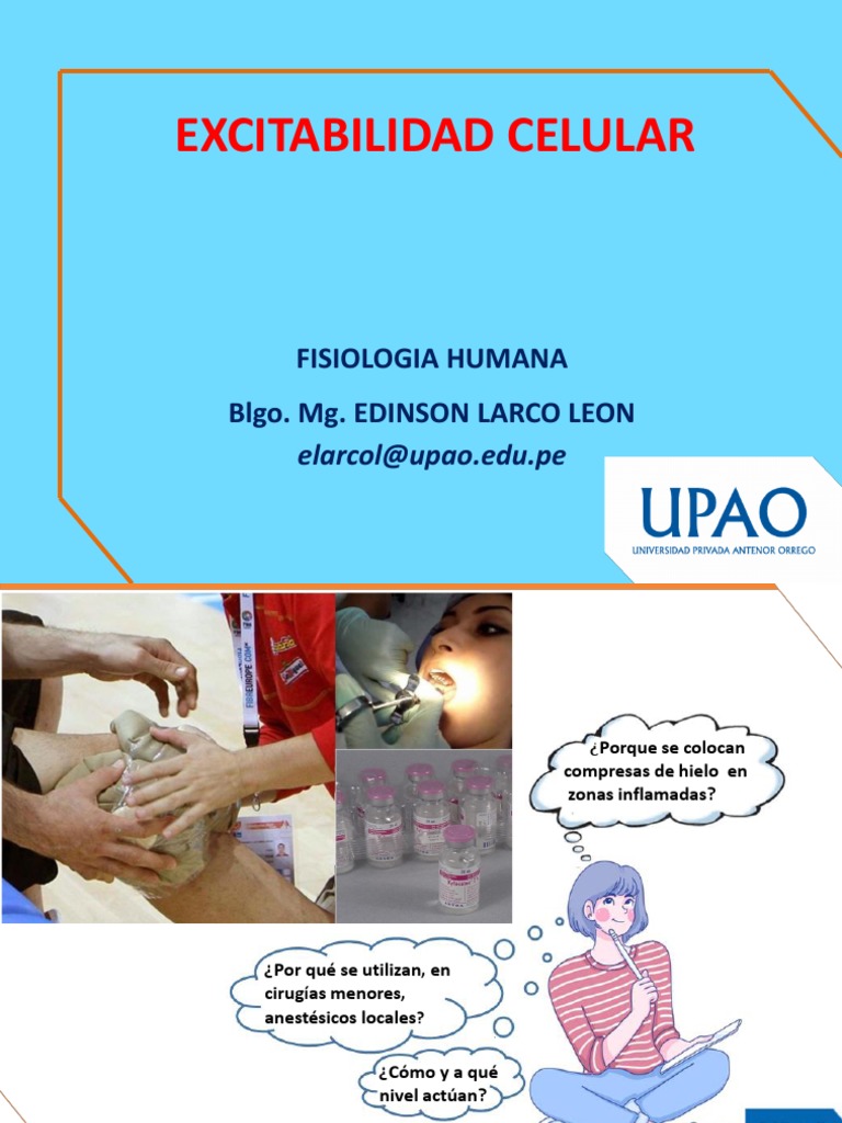 Excitabilidad Celular y Potenciales | PDF | Potencial de acción | Sinapsis
