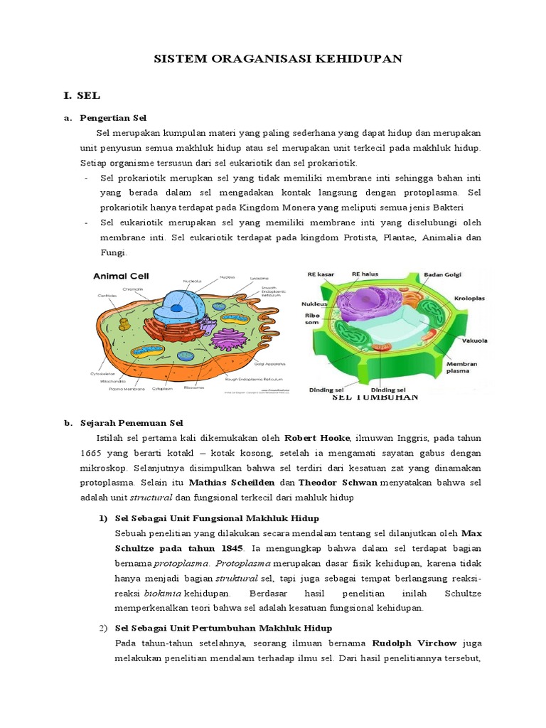 Modul Sel | PDF | Ilmu Sosial | Sains & Matematika