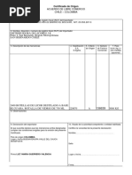 Instructivo y Ejemplo de Llenado de Certificado de Origen Mercosur | PDF | Chile | Business